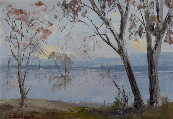 J. Colin Angus | Lake Mokoan | MutualArt