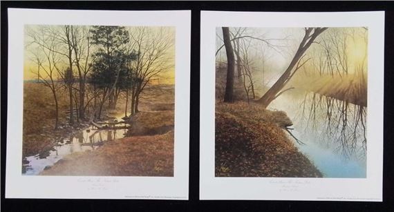 Steven Kozar | Nature Suite | MutualArt