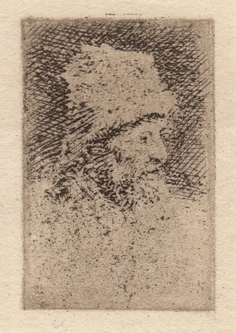 Rembrandt van Rijn | The Farmer (1880) | MutualArt