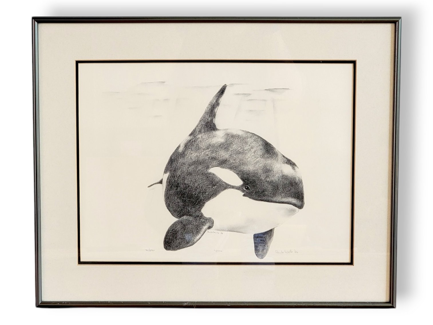 Paula Wolfe | Orca | MutualArt