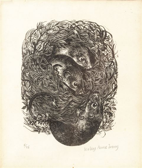 Lesley Anne Ivory | Study of field mouse with pups | MutualArt