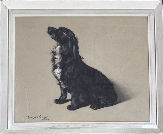 Peter Biegel | Portrait of a Working Cocker Spaniel (59) | MutualArt