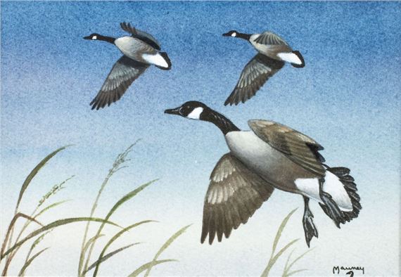 Lee Mauney | Geese in Flight | MutualArt