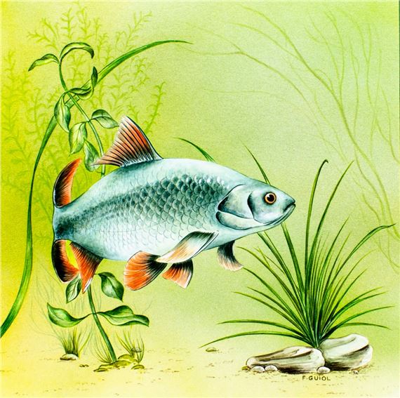 Francois Guiol | Roach Fish (1991) | MutualArt