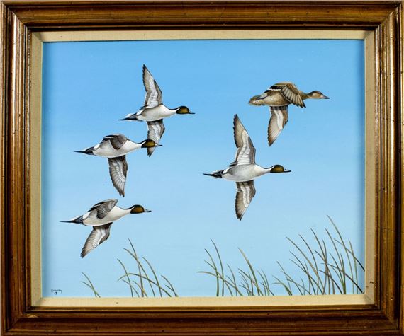 Lee Mauney | Flying Pintail Ducks | MutualArt