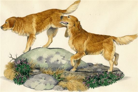 Peter Barrett | Golden Retriever Dog | MutualArt
