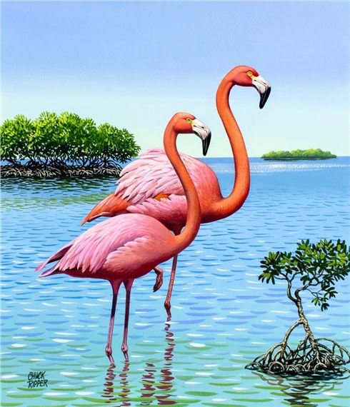 Chuck Ripper | Caribbean Flamingo Bird (1998) | MutualArt