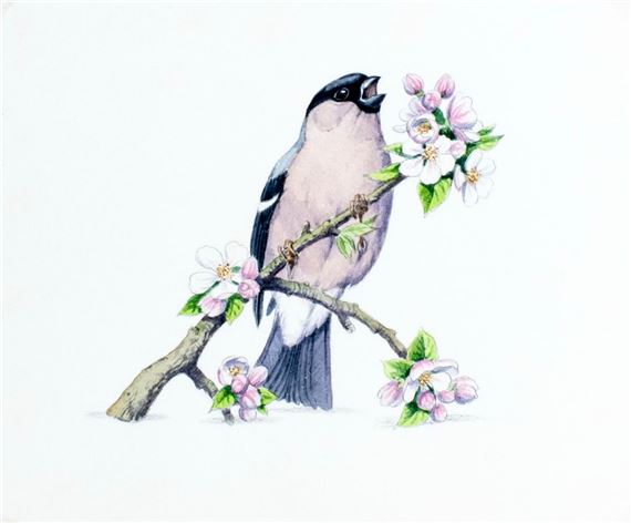 Peter Barrett | Bullfinches Bird | MutualArt