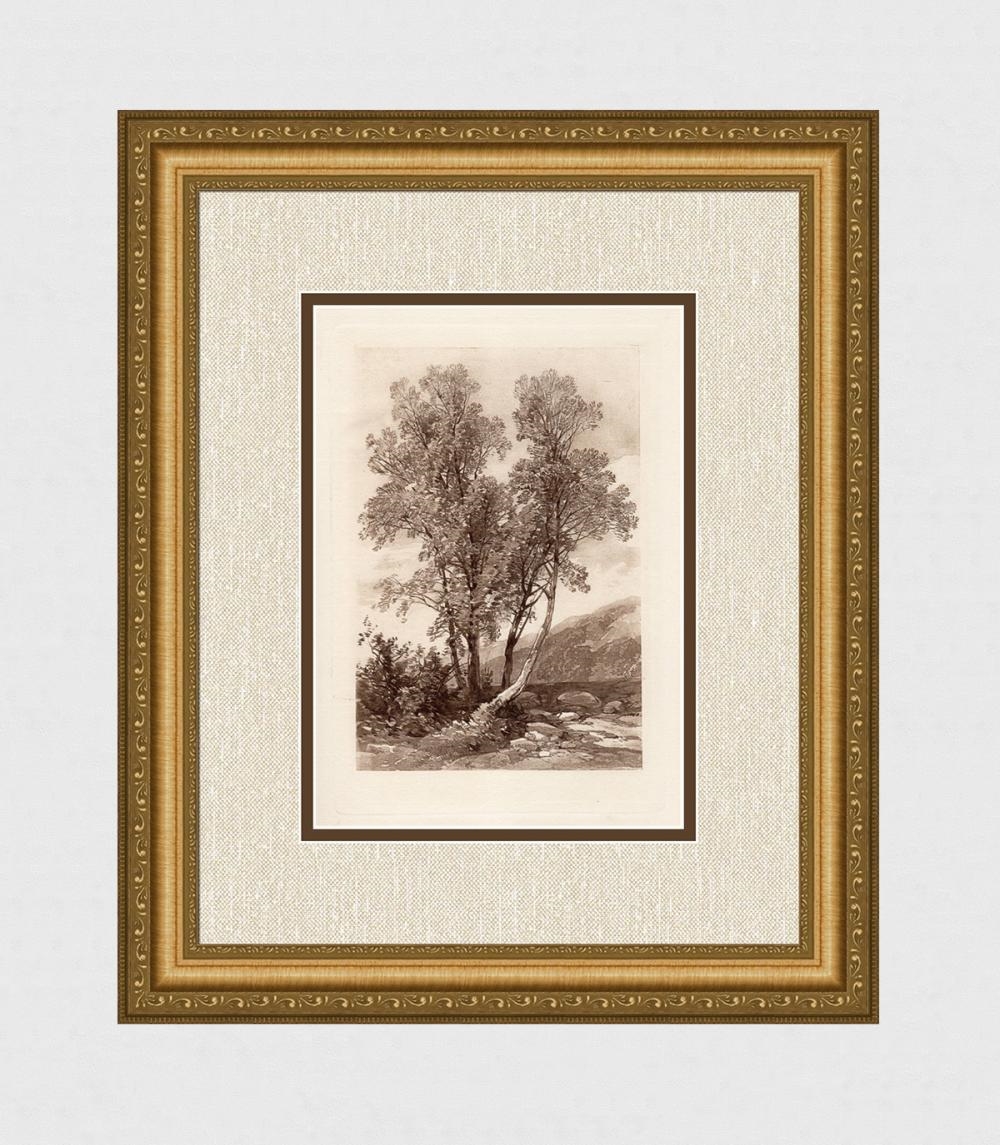 James Duffield Harding | Study of Ash Trees (1883) | MutualArt