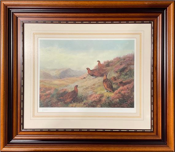 Archibald Thorburn | Red Grouse | MutualArt