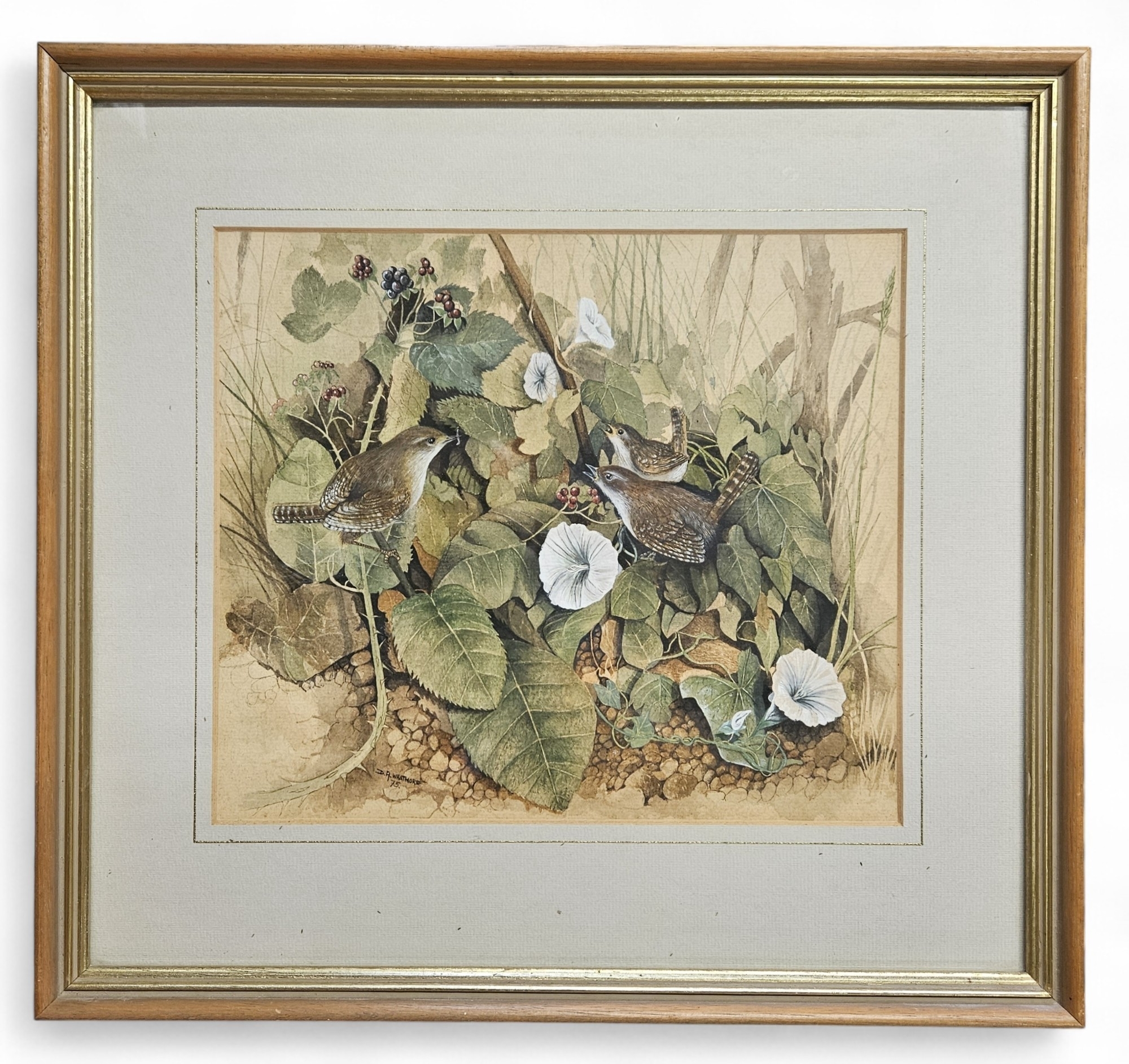 David Whatmore | A good 20th Century still life Watercolour of Birds in ...