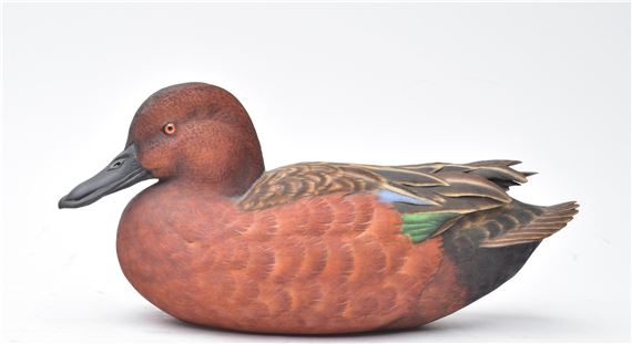 Wilson Chris | Decorative cinnamon teal highly detailed throughout with ...