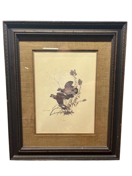 John Ruthven | quail lithograph art | MutualArt