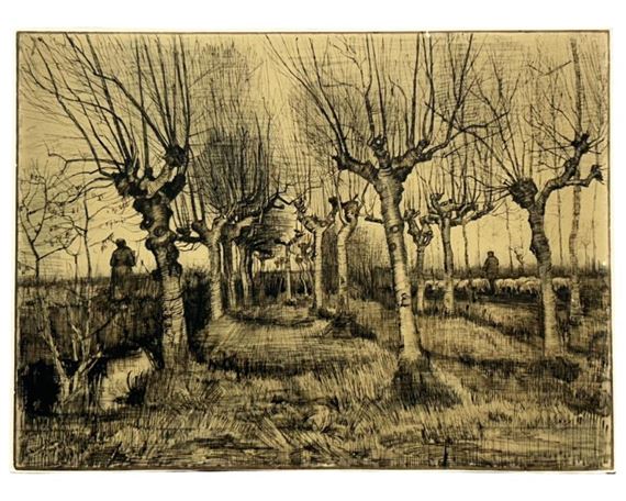 Vincent Van Gogh | Pollard Birches | MutualArt
