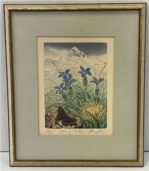David Koster | Spring Gentians (2014) | MutualArt