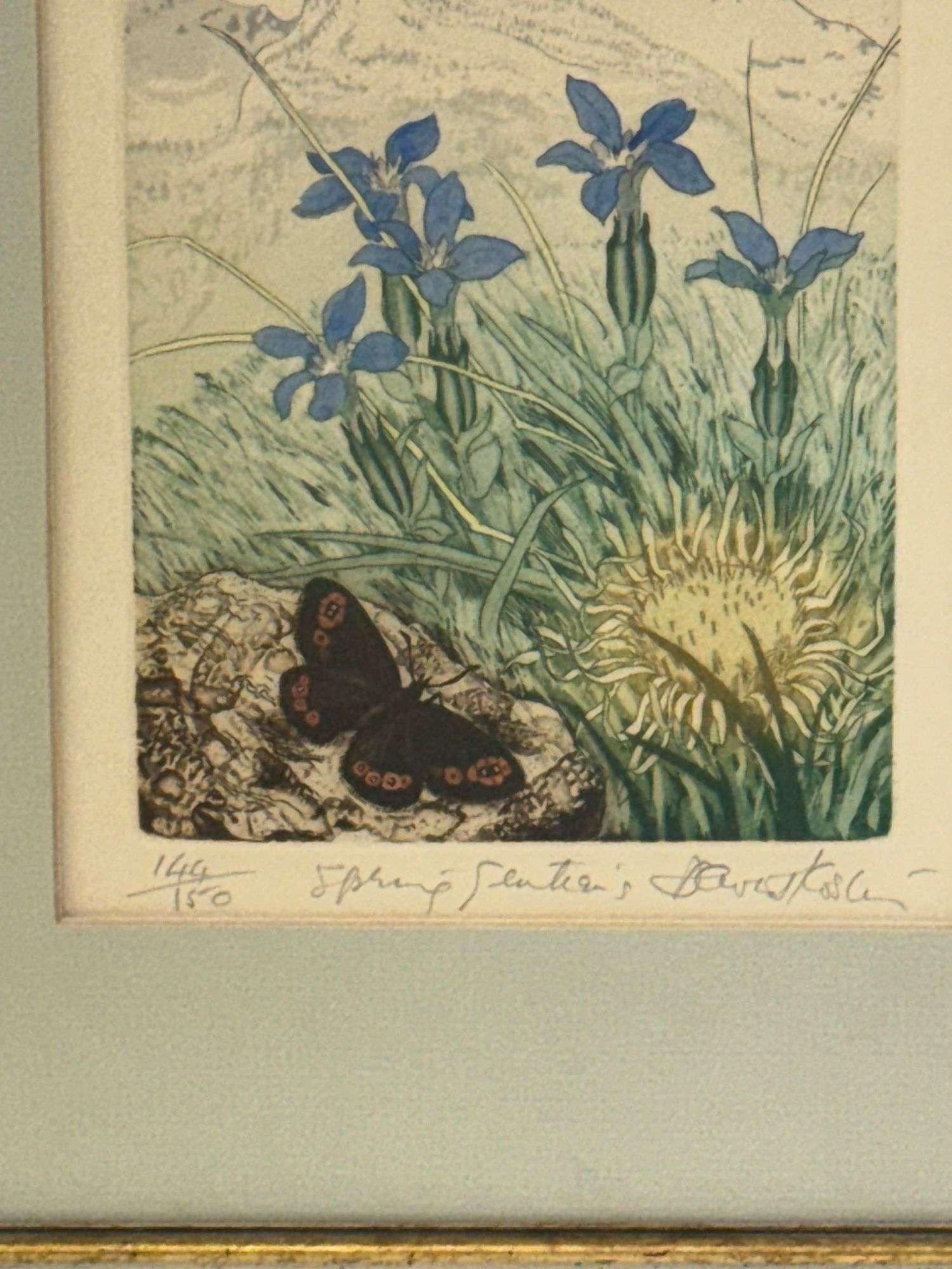 David Koster | Spring Gentians (2014) | MutualArt