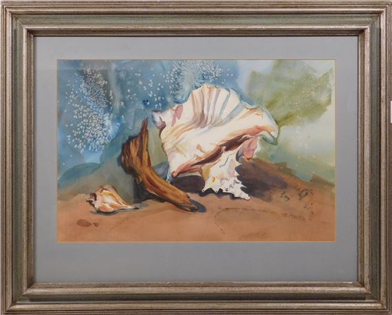 S. Martin | Conch Shell Still Life | MutualArt