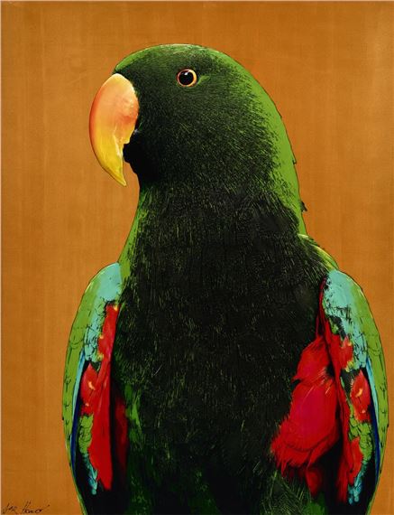 JOSE HARO | Smarty Parrot | MutualArt
