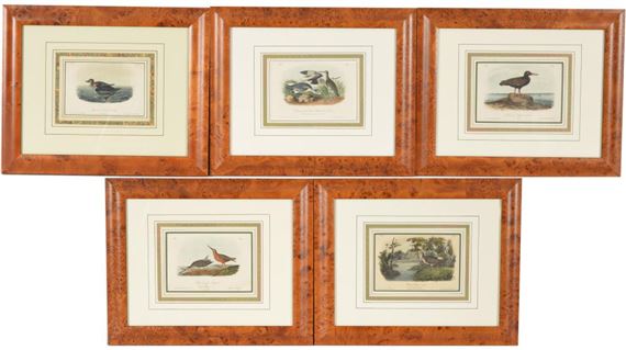 John James Audubon | Birds | MutualArt