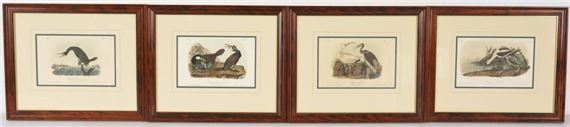 John James Audubon | Birds | MutualArt