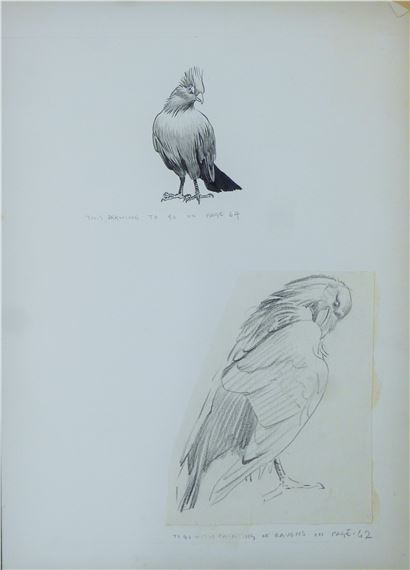 Raymond Sheppard | Raven | MutualArt