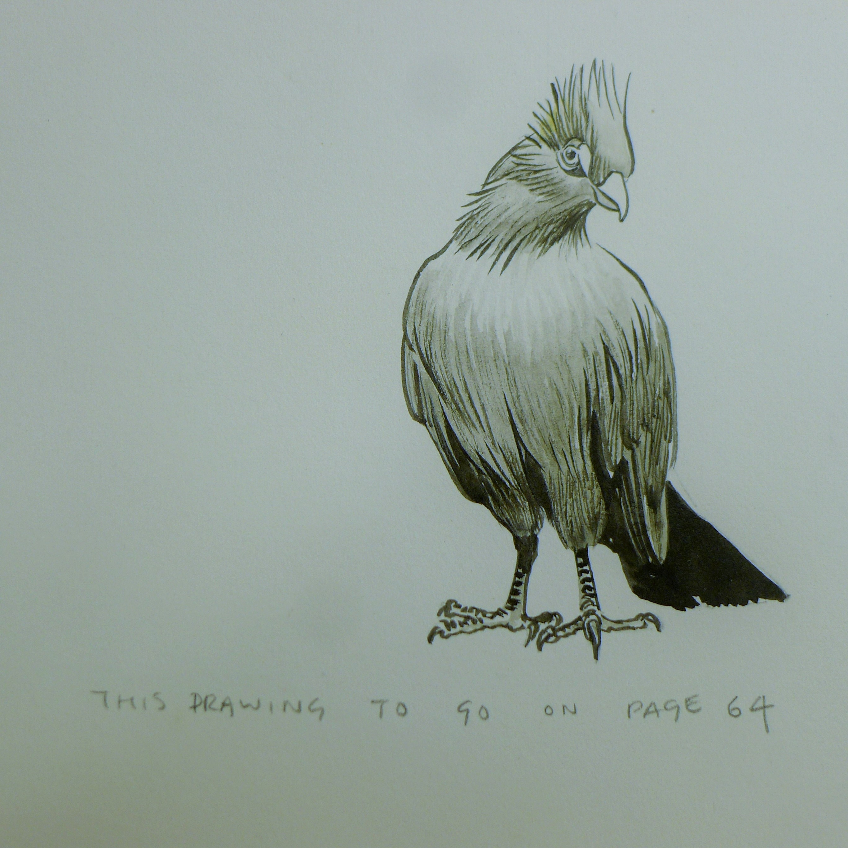 Raymond Sheppard | Raven | MutualArt