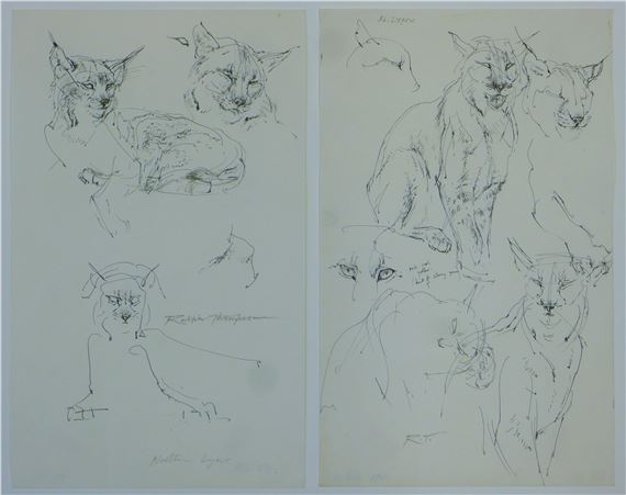 Ralph Thompson | Lynx Sketches | MutualArt