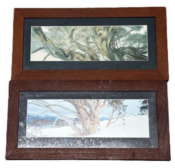 Ken Duncan | Snowy River Gums (2 | MutualArt