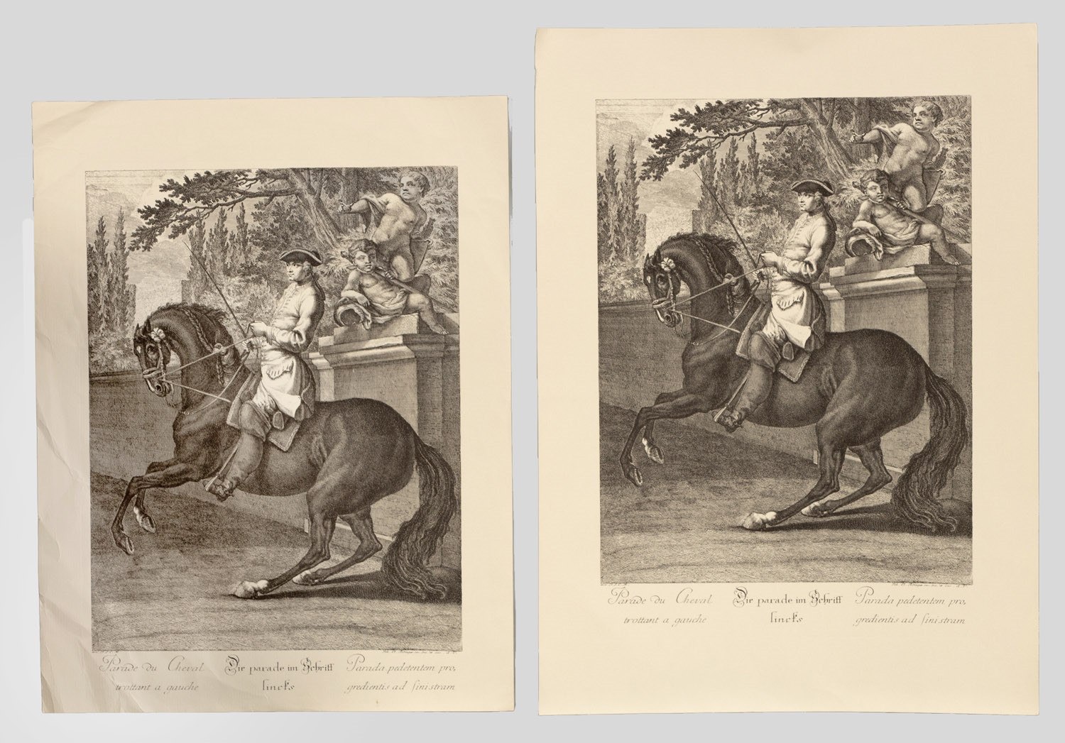 Johann Elias Ridinger | Equestrian Theme | MutualArt
