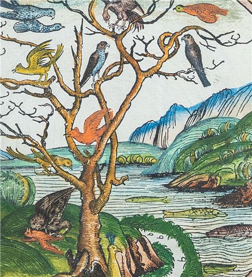 Hartmann Schedel | Schedelsche Weltchronik (1493) | MutualArt