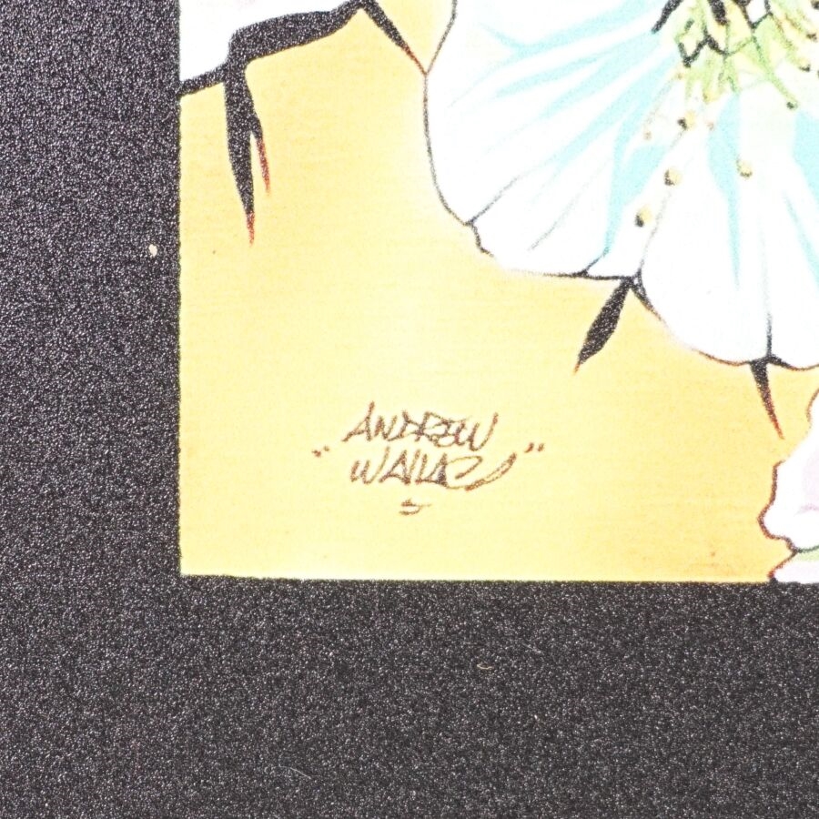 Andrew Wallas | Les 4 saisons - Printemps | MutualArt