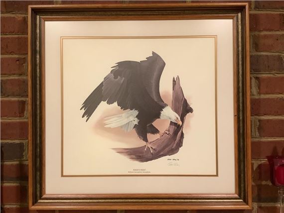 Gene Gray | Bald Eagle | MutualArt