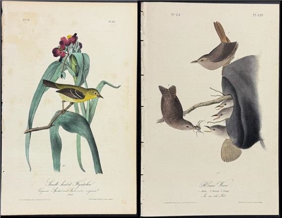 John James Audubon | 5 Bird Lithographs | MutualArt