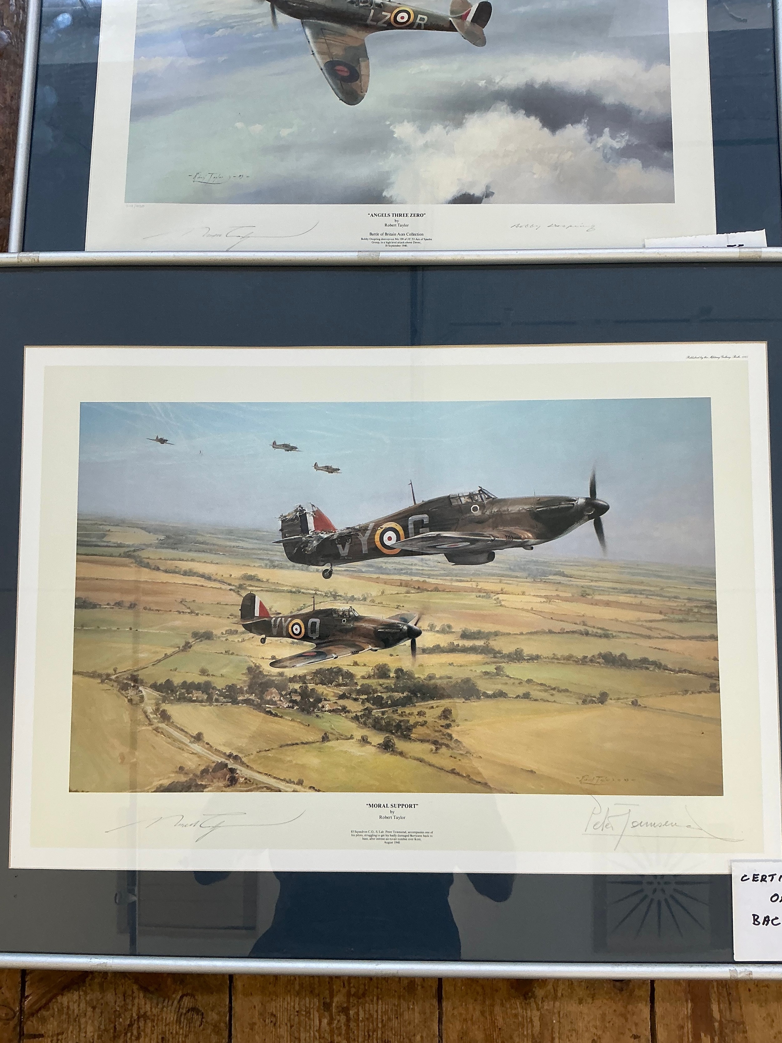 Robert Taylor | Moral Support | MutualArt