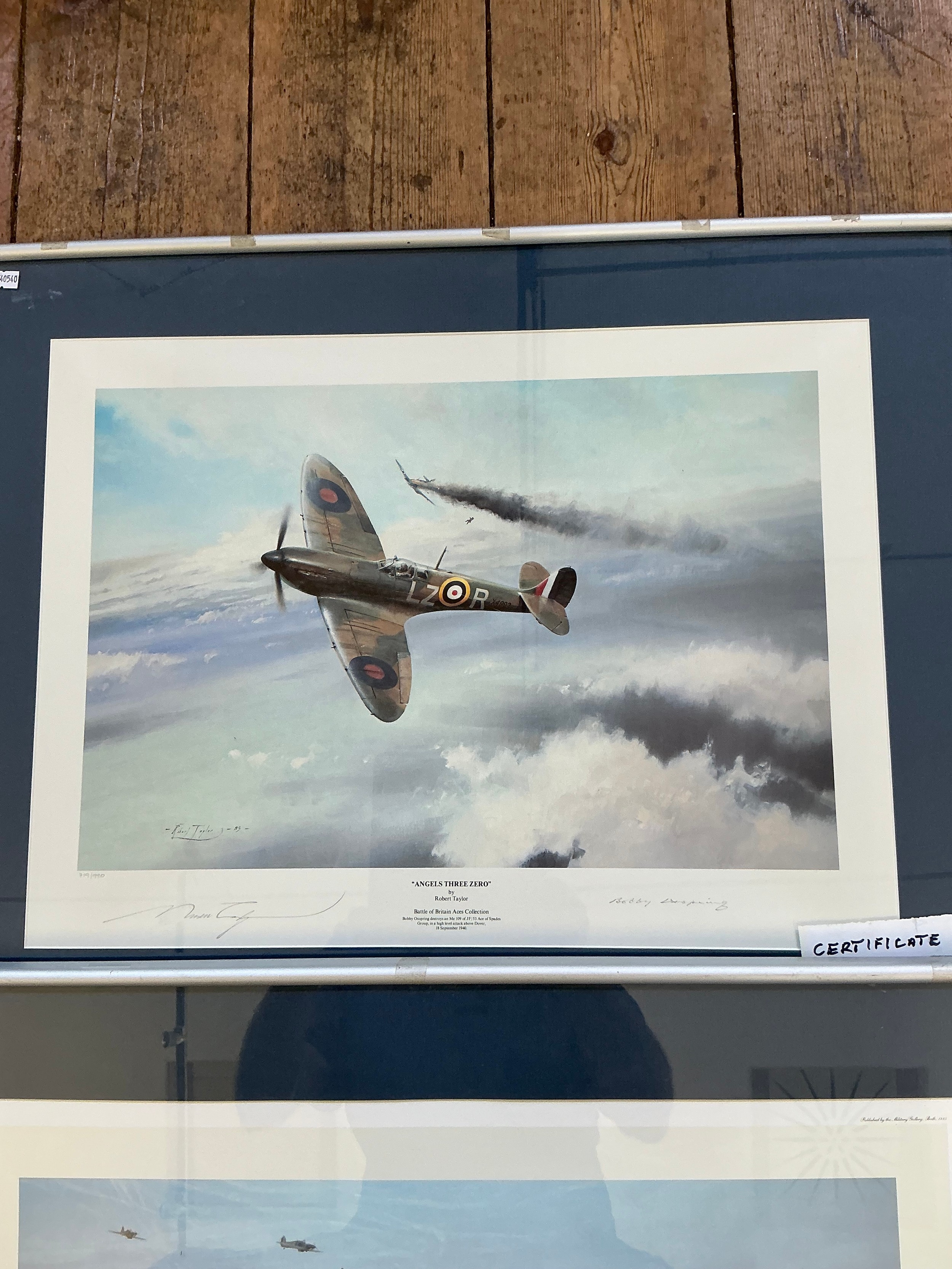 Robert Taylor | Moral Support | MutualArt