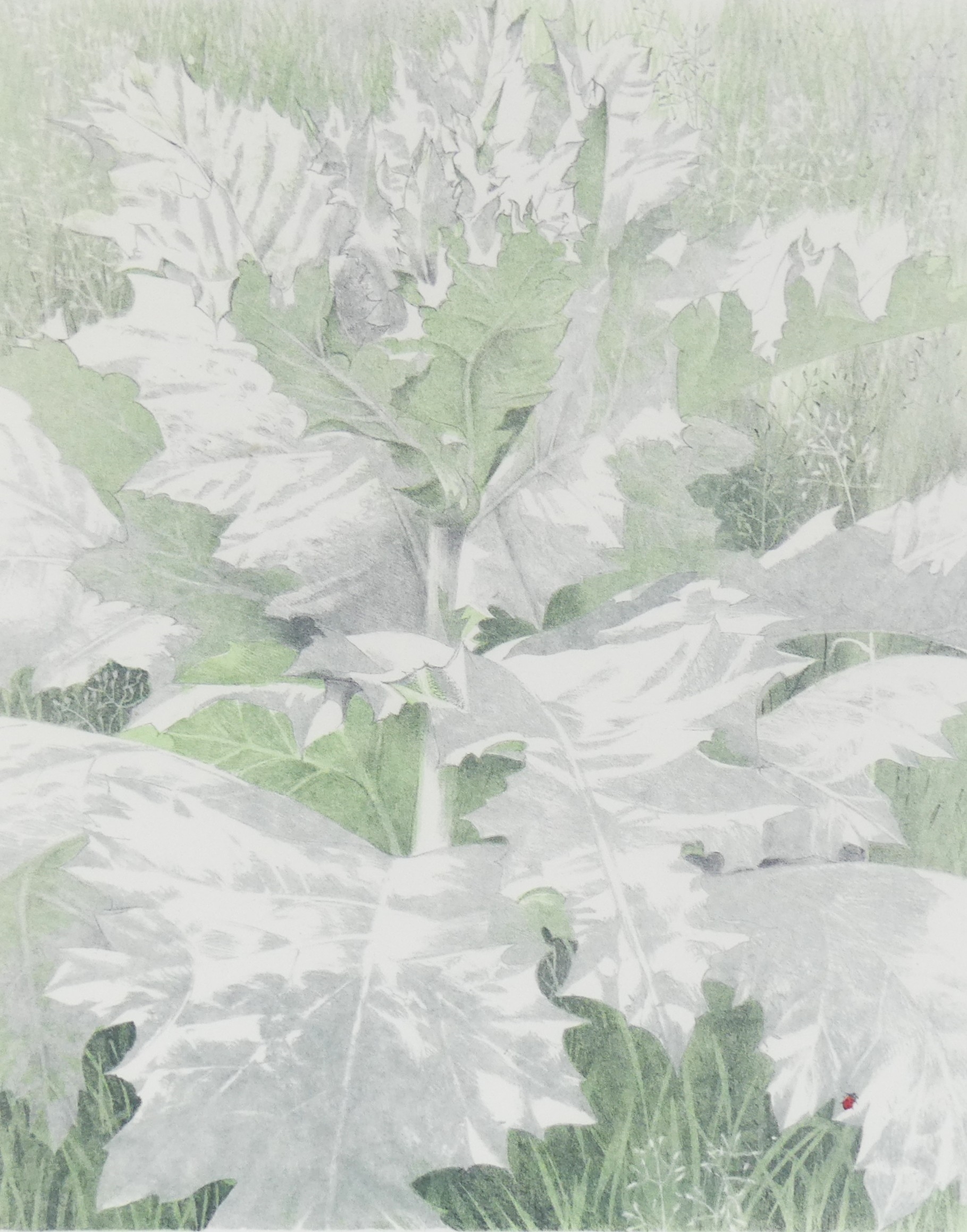 Sell Richard | Kings Parade from Senate House Passage | Compare similar ...