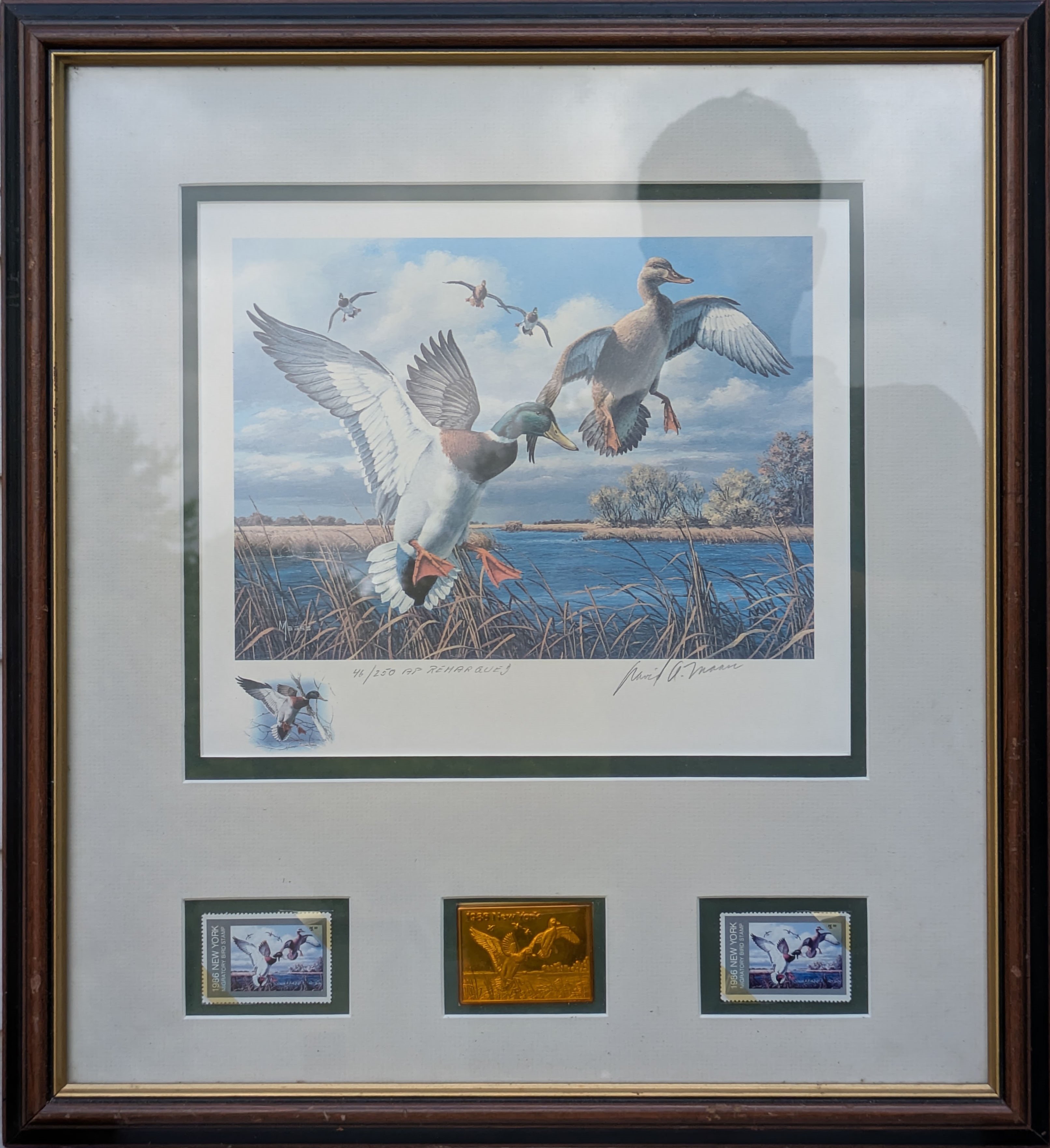 David Maass | Duck Stamp Pencil Lithograph | MutualArt