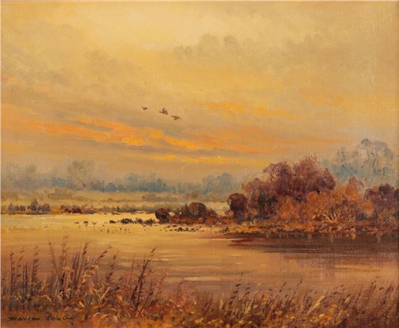 David Long | MALLARDS ABOVE WETLANDS | MutualArt
