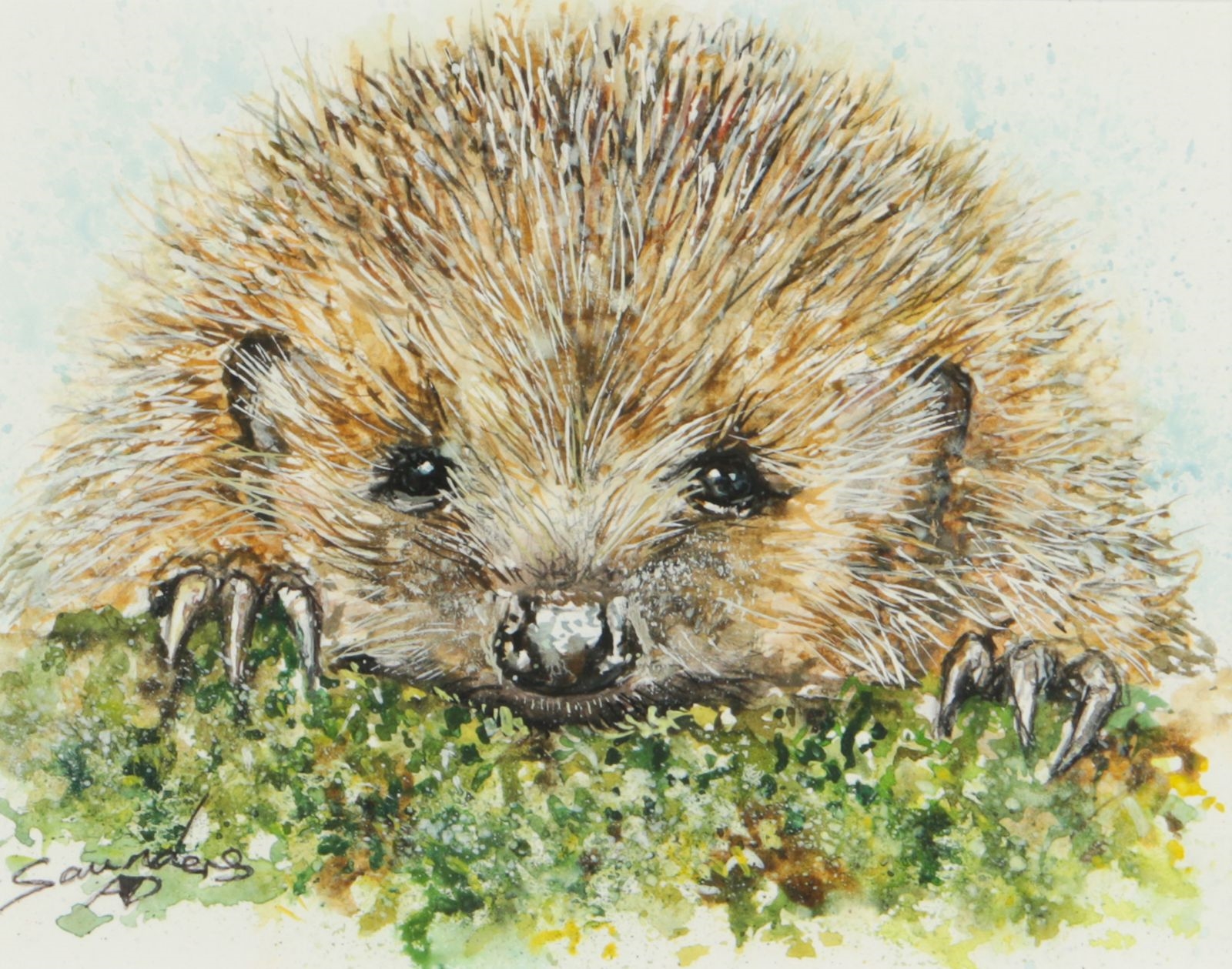 Andy Saunders | MR HOGG | MutualArt