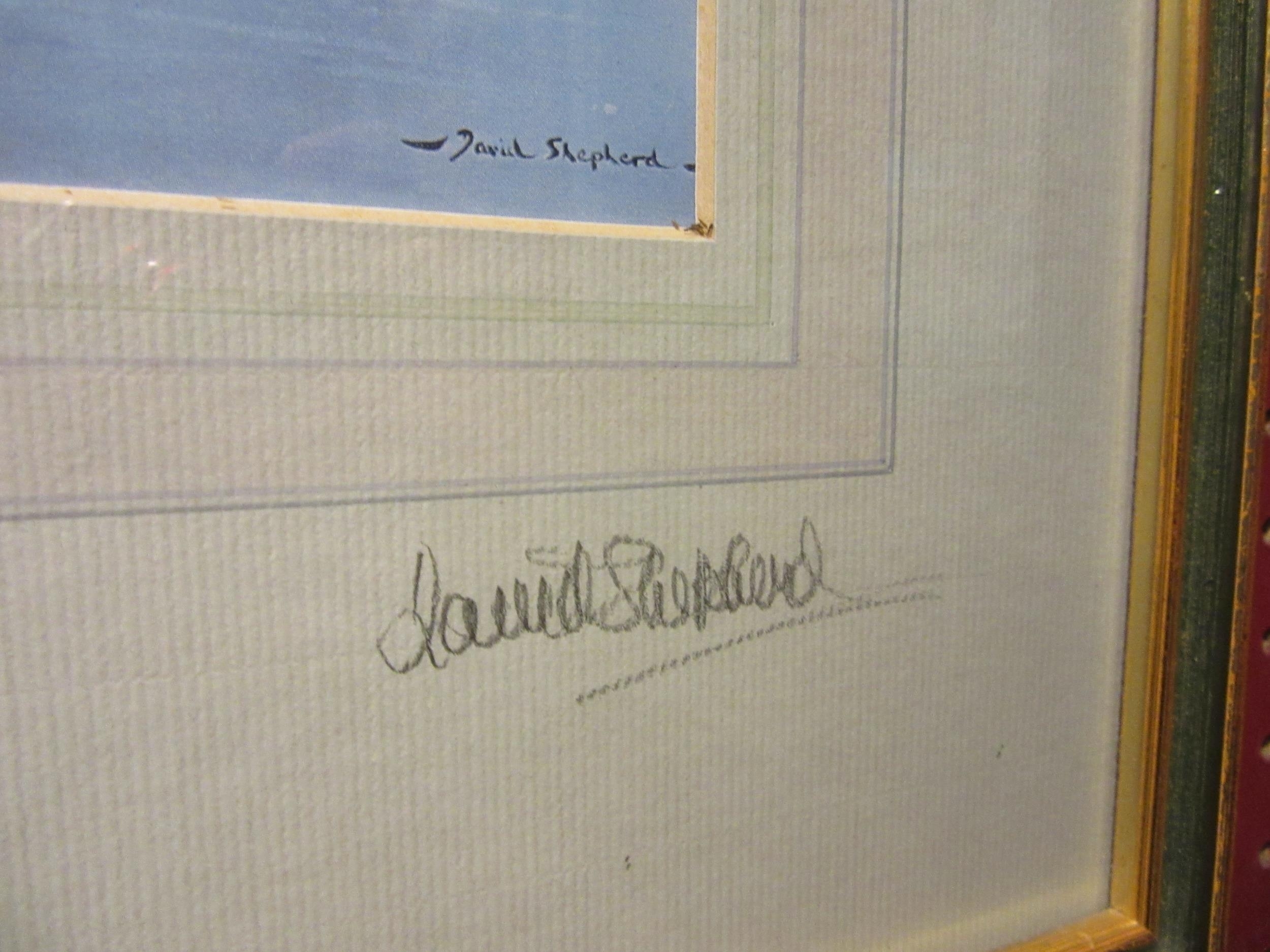 David Shepherd | Hippo's | MutualArt