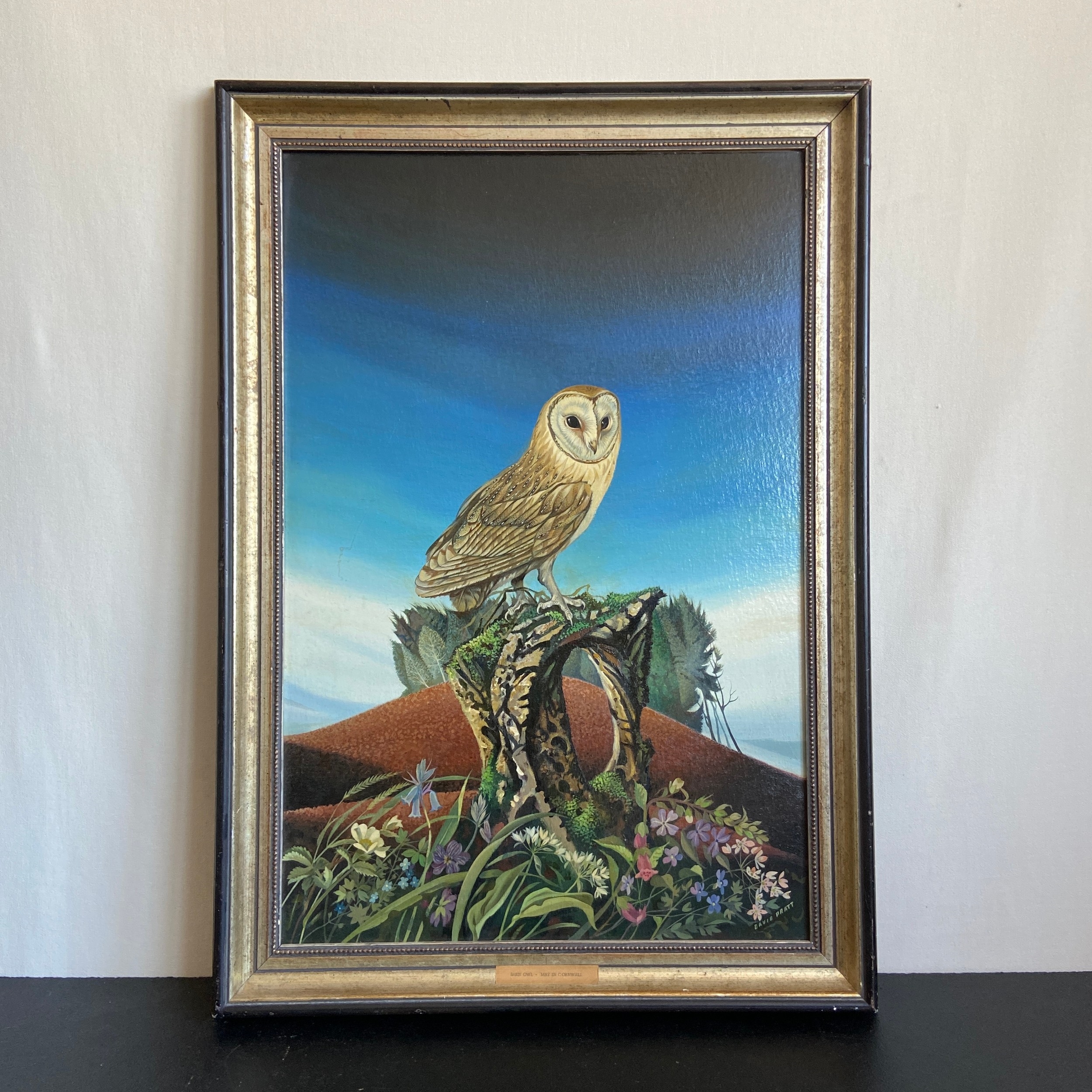 David Pratt | Barn Owl, May in Cornwall | MutualArt