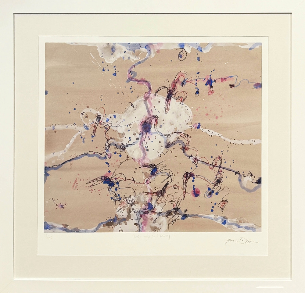 John Olsen | Lake Eyre Birds Leaving | MutualArt