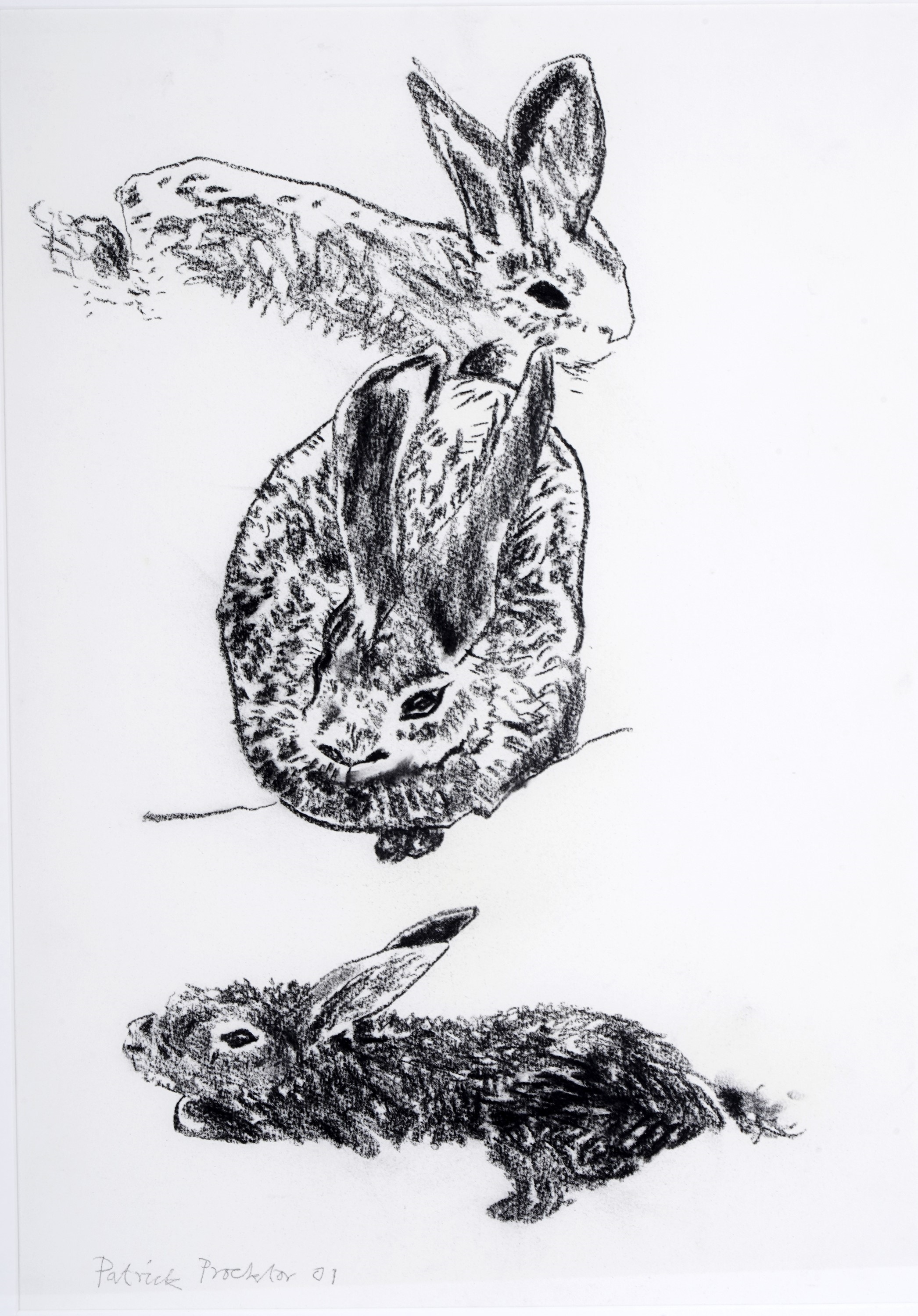 Patrick Procktor | Bunny rabbits (1) | MutualArt