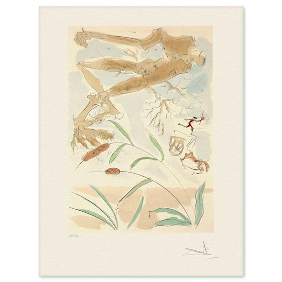 Salvador Dalí | The Oak and the Reed | MutualArt