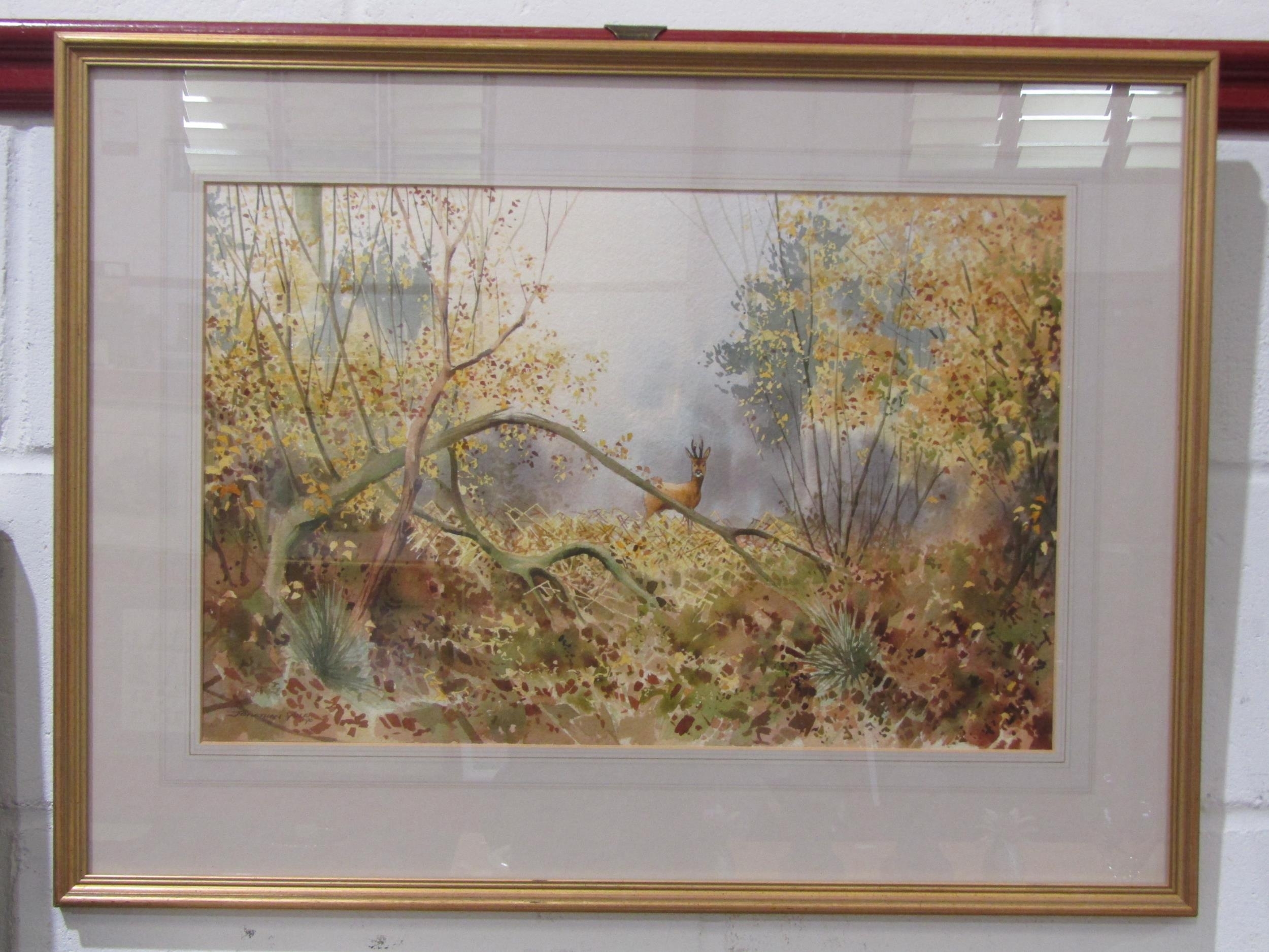 Jonathan Yule | A watercolour of juvenile stag in autumnal woodland clearing | MutualArt