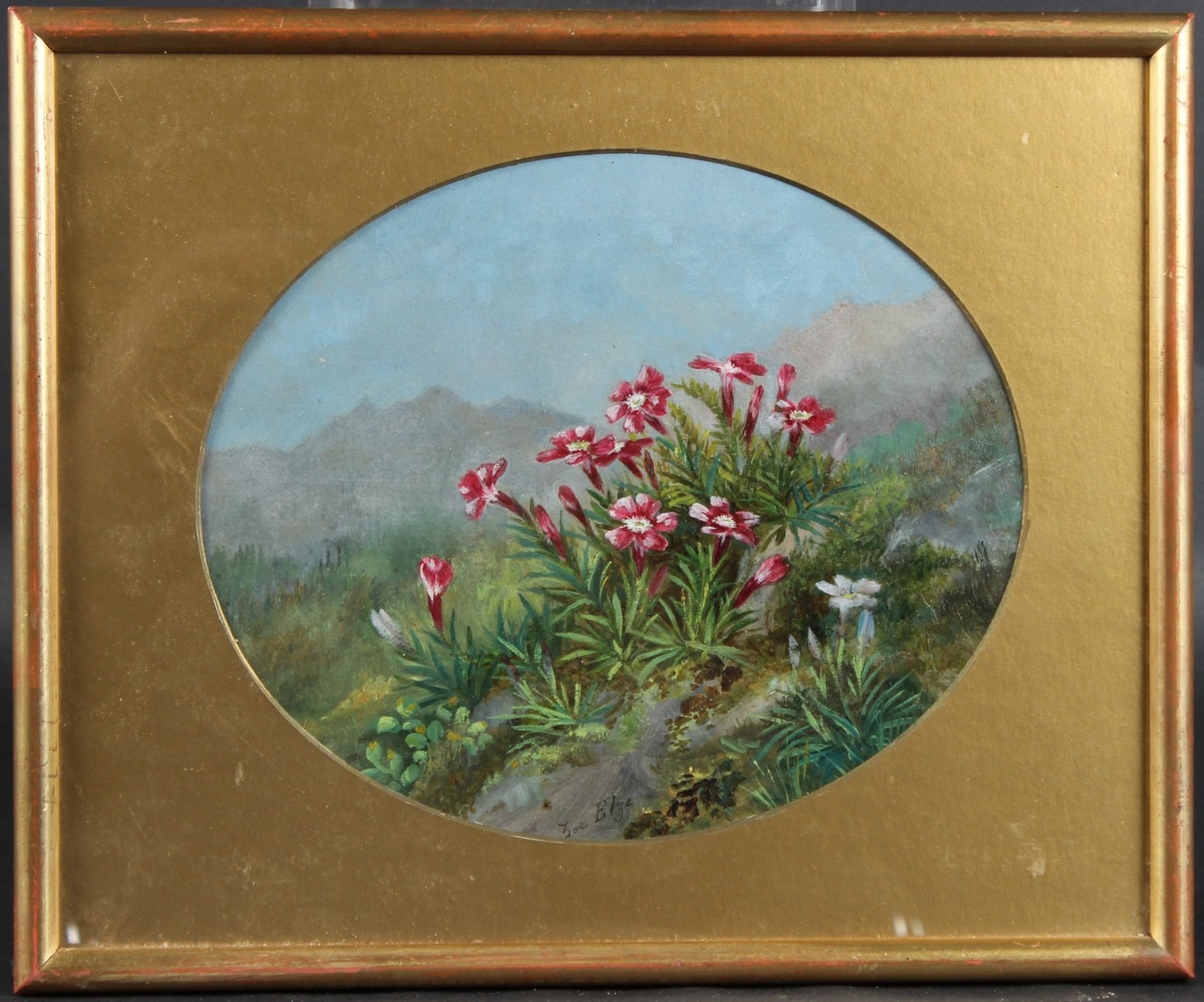 Zoe Elze (19th Century) | Dianthus glacialis | MutualArt