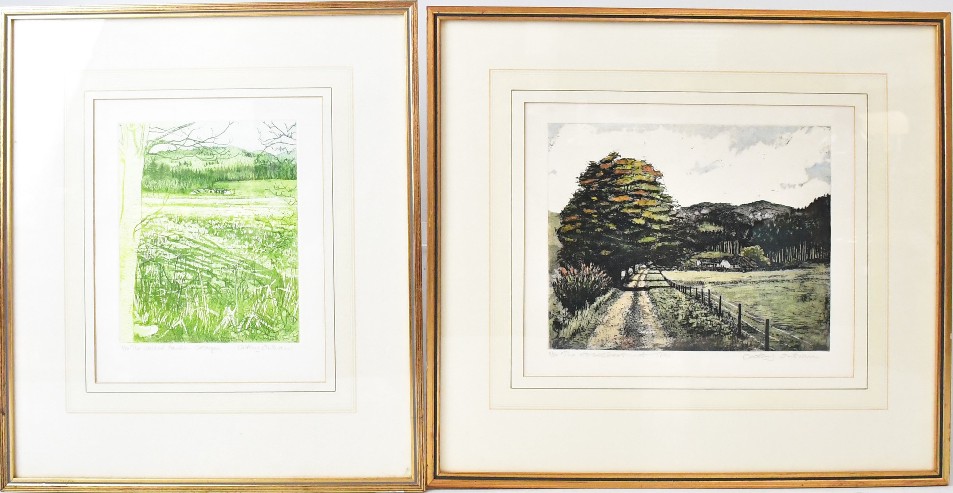 Cathy Outram | The Horse Chestnut Tree | MutualArt