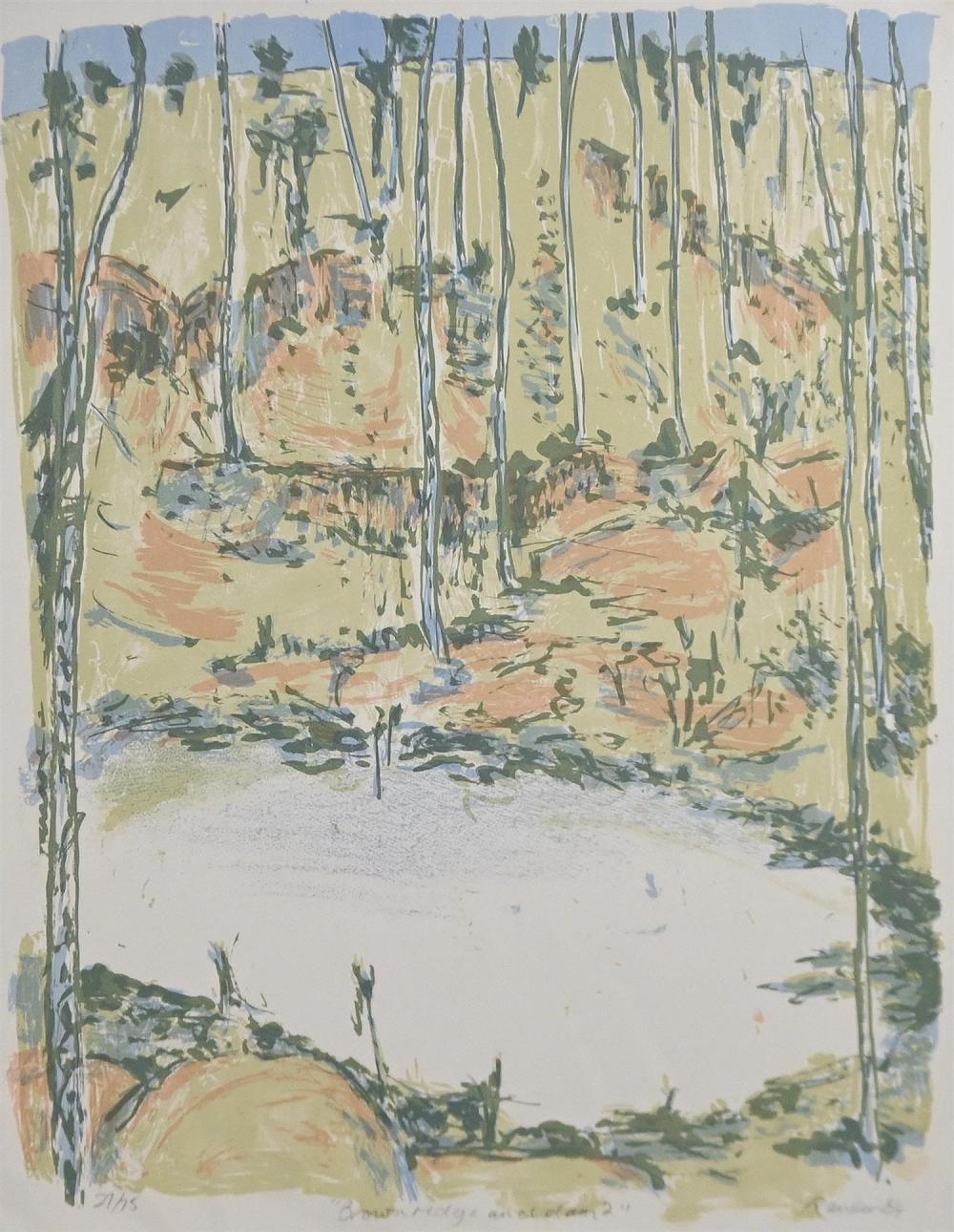 David Rankin | BROWN RIDGE AND DAM 2 (1984) | MutualArt