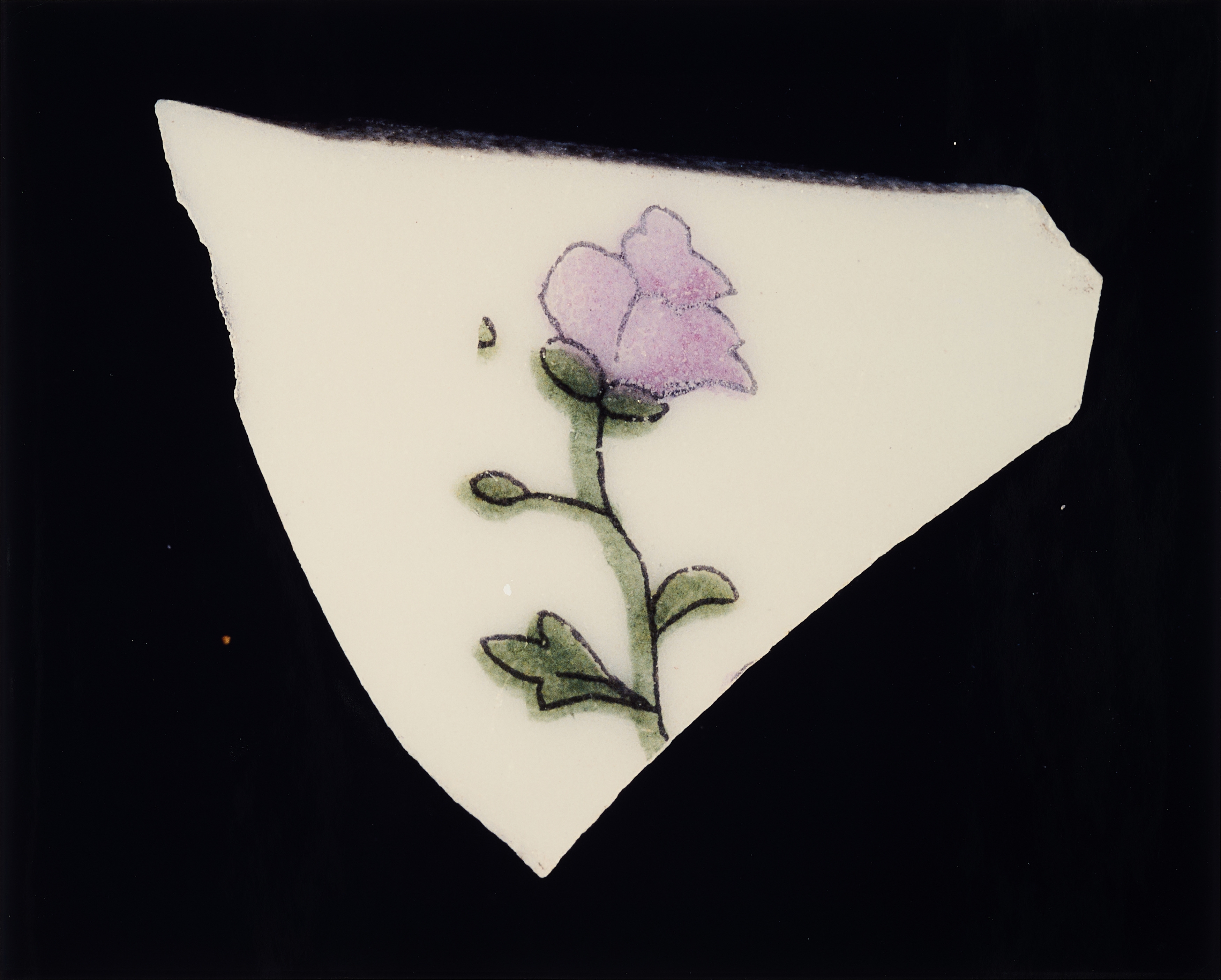 Mark Dion | New England Digs: Flowers (2001) | MutualArt