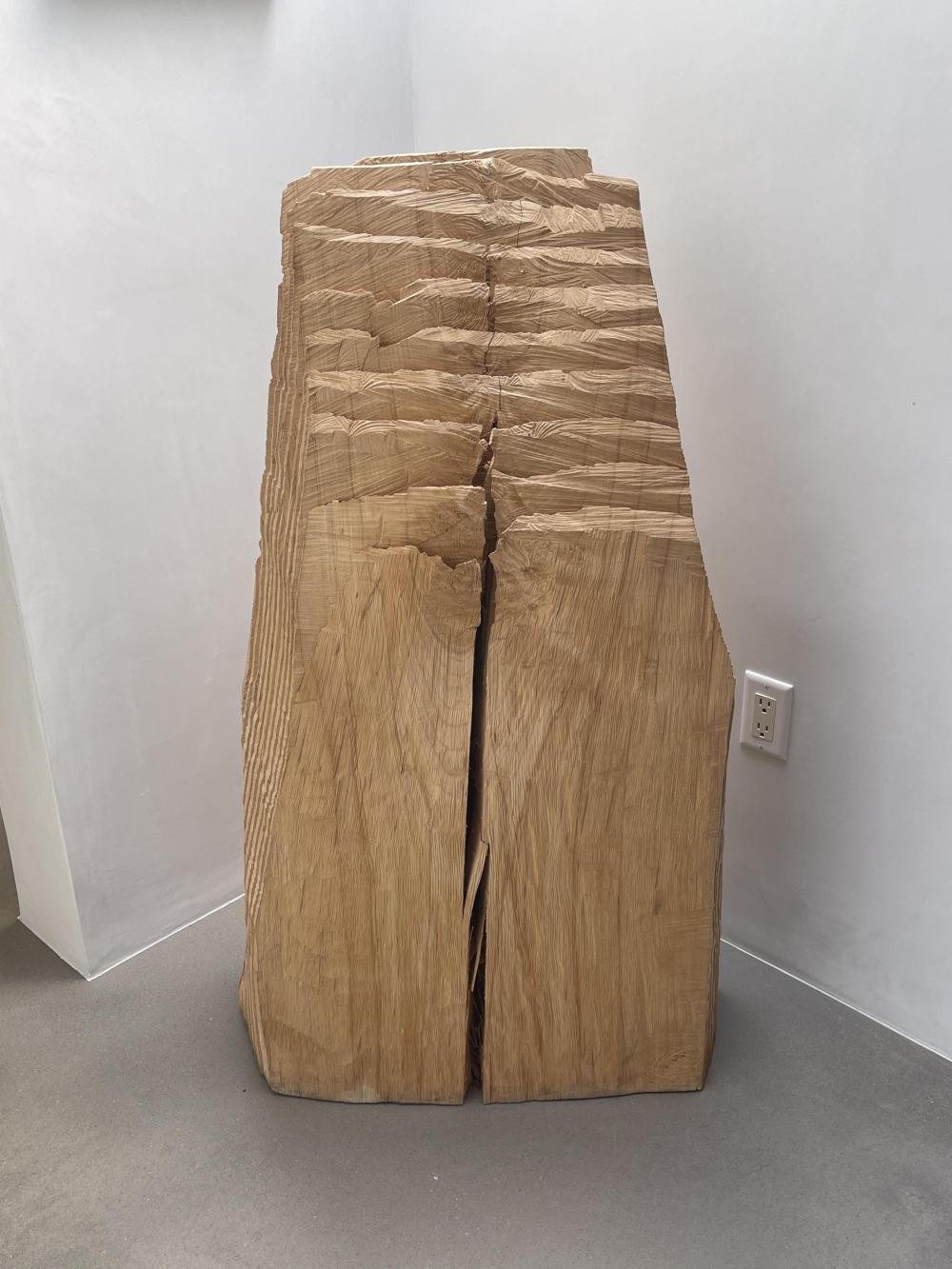 David Nash | Beech Sheaves (1990) | MutualArt